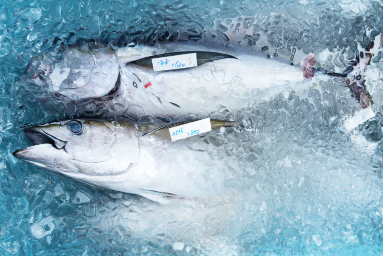 X-Scan Imaging Corporation | Food